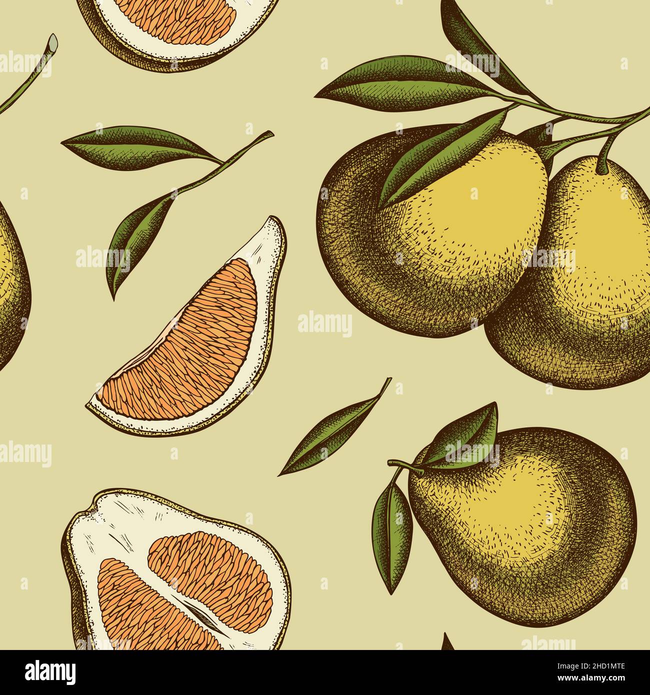 Citrus seamless pattern background design. Engraved style. Hand drawn pomelo Stock Vector Image ...
