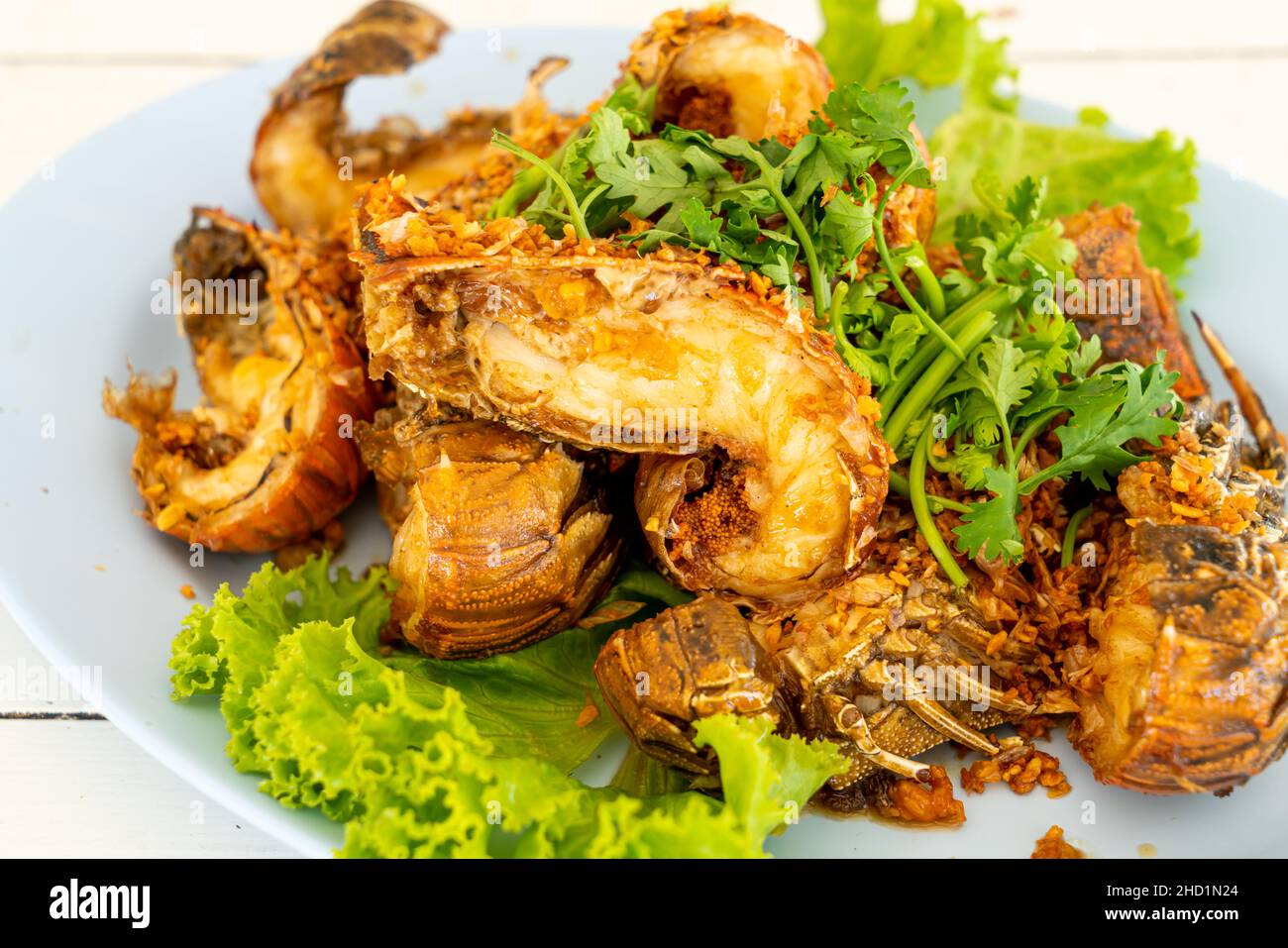 Large mantis shrimp hi-res stock photography and images - Alamy