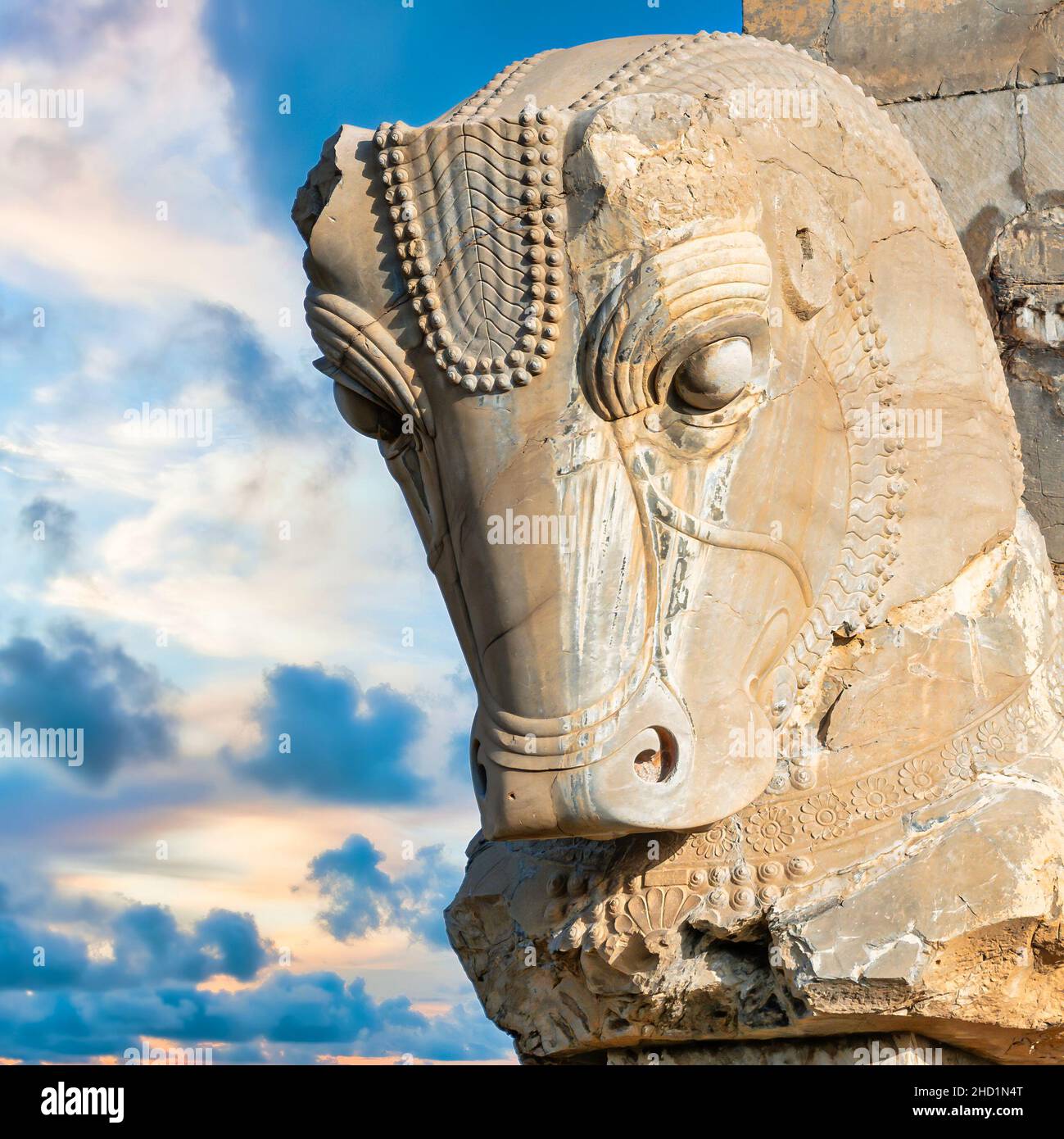 Persepolis, Iran - May 2019: Horse head in Ruins of Persepolis, the ...