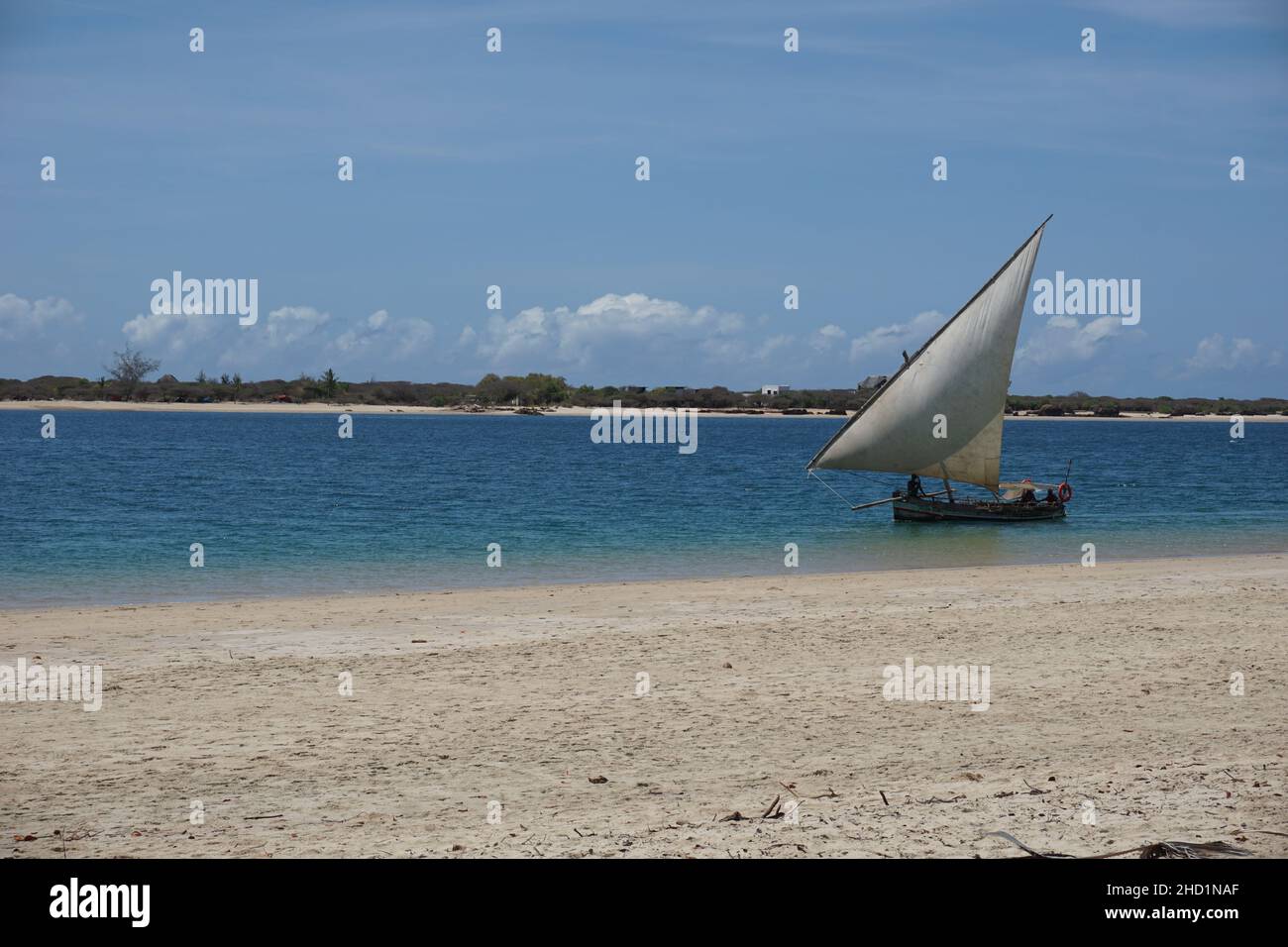 Traditional dhow navigating between Lamu Island and Manda Island, Kenya ...