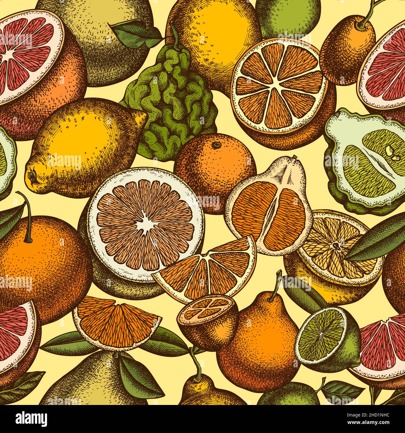 Citrus seamless pattern background design. Engraved style. Hand drawn kumquat, lemon, tangelo ...