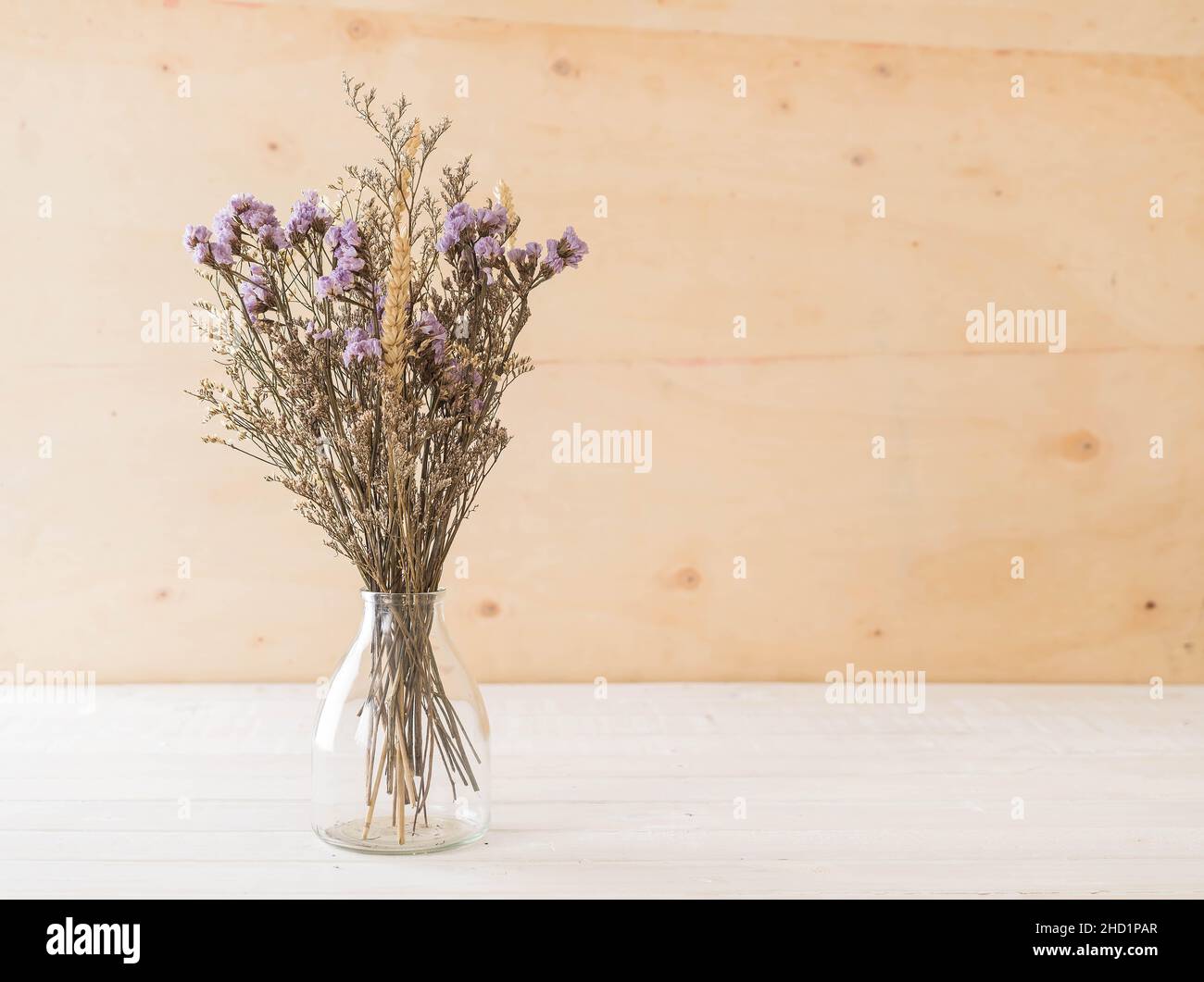 Purple Caspia High Resolution Stock Photography and Images - Alamy