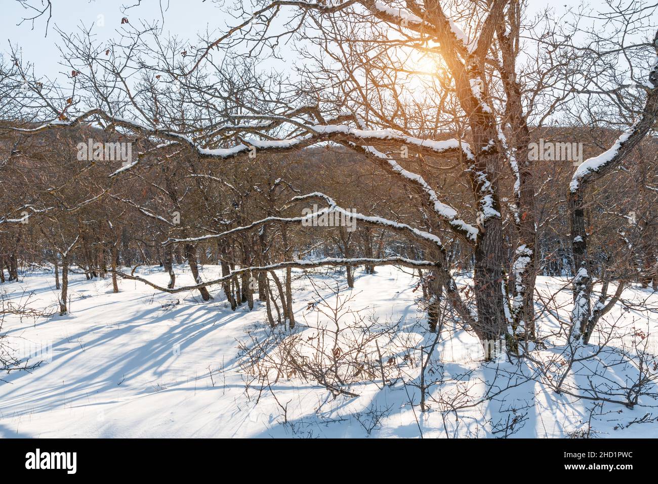 Snowy freeze morning hi-res stock photography and images - Alamy