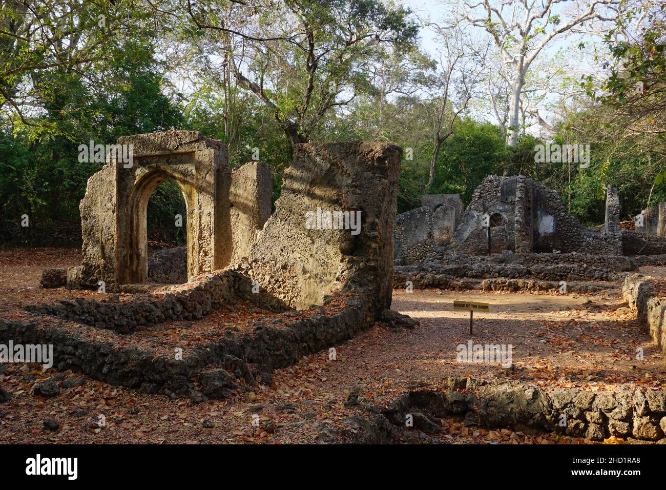 The Gedi ruins in Watamu at the golden hour, Kenya Stock Photo - Alamy