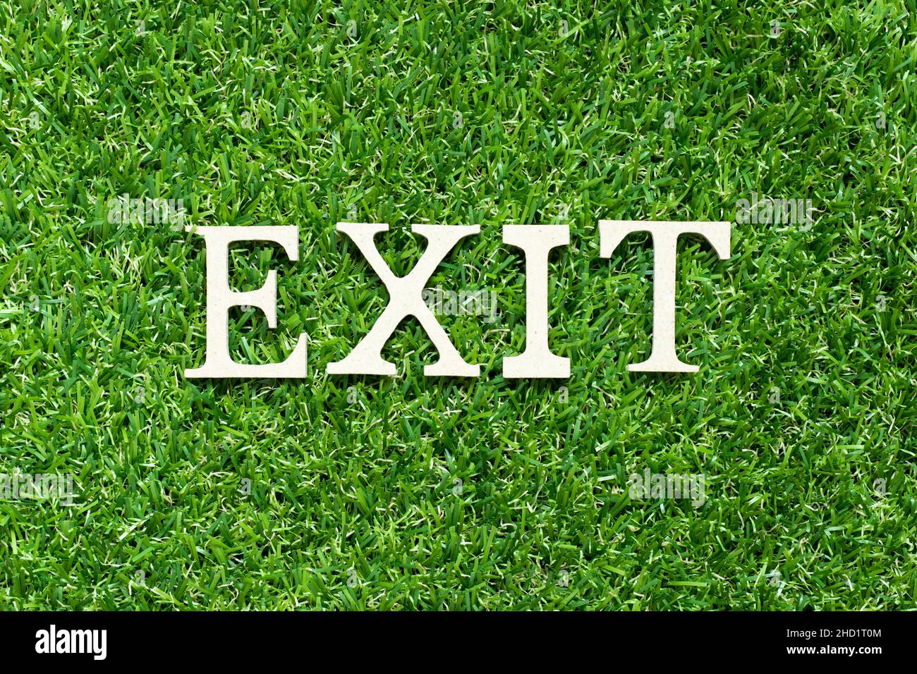 Alphabet letter in word exit on green grass background Stock Photo - Alamy