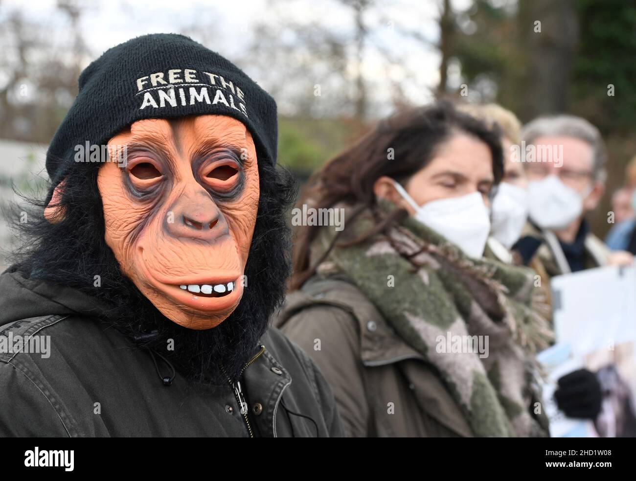 Cage free animals hi-res stock photography and images - Alamy