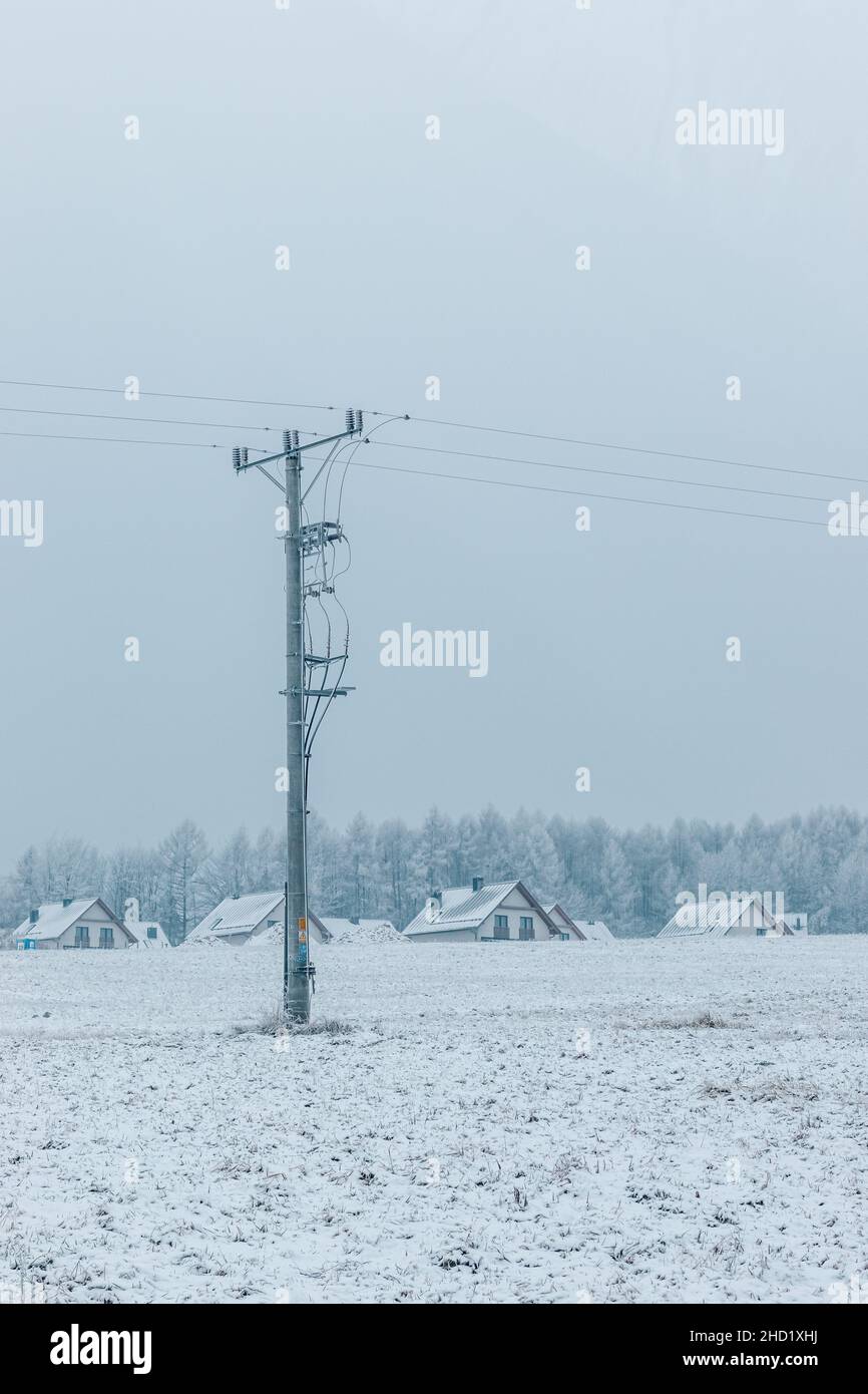 Tree in power cable hi-res stock photography and images - Alamy