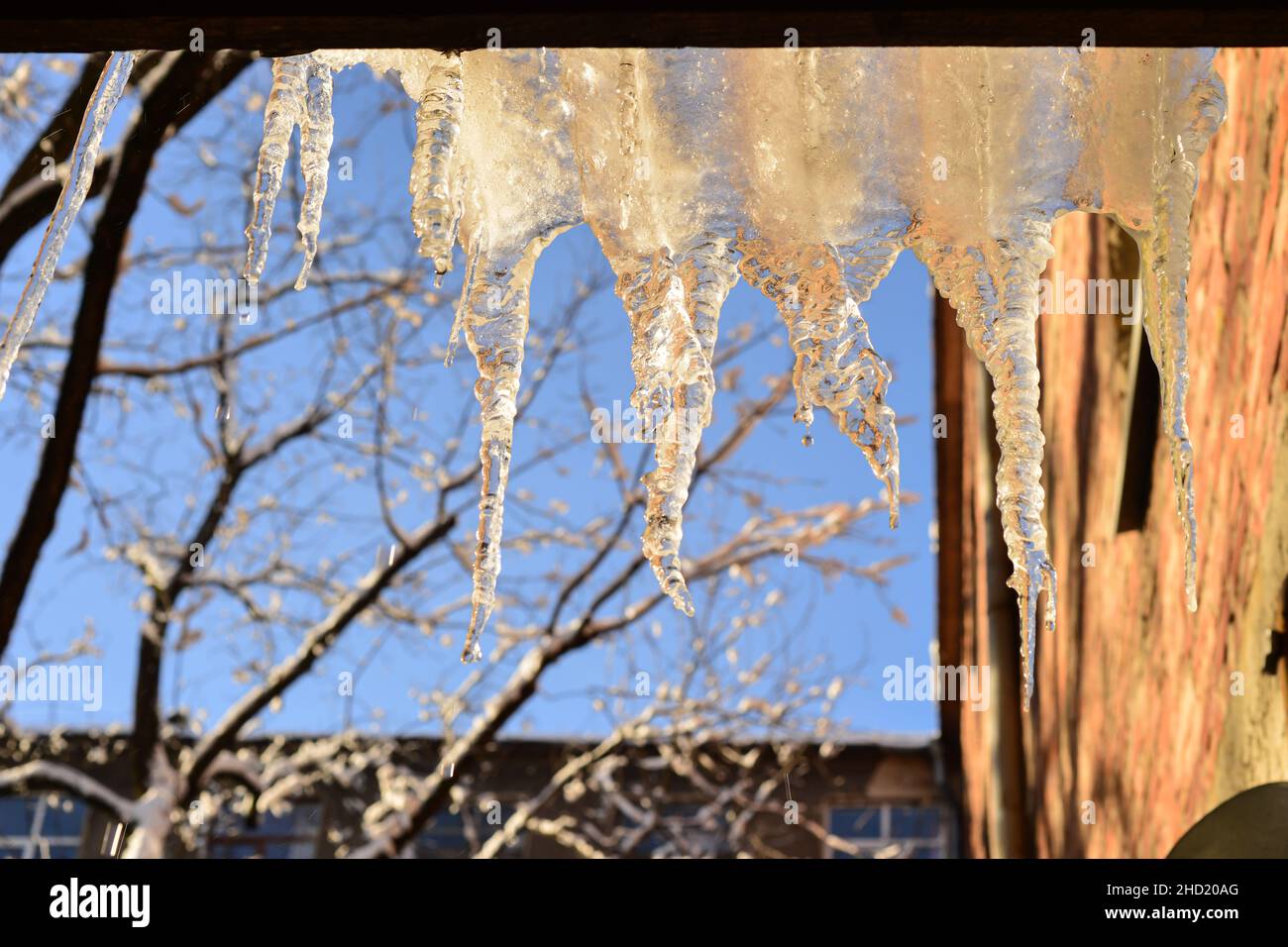 Melting icicles hanging down from roof with blue sky background. Sunny ...