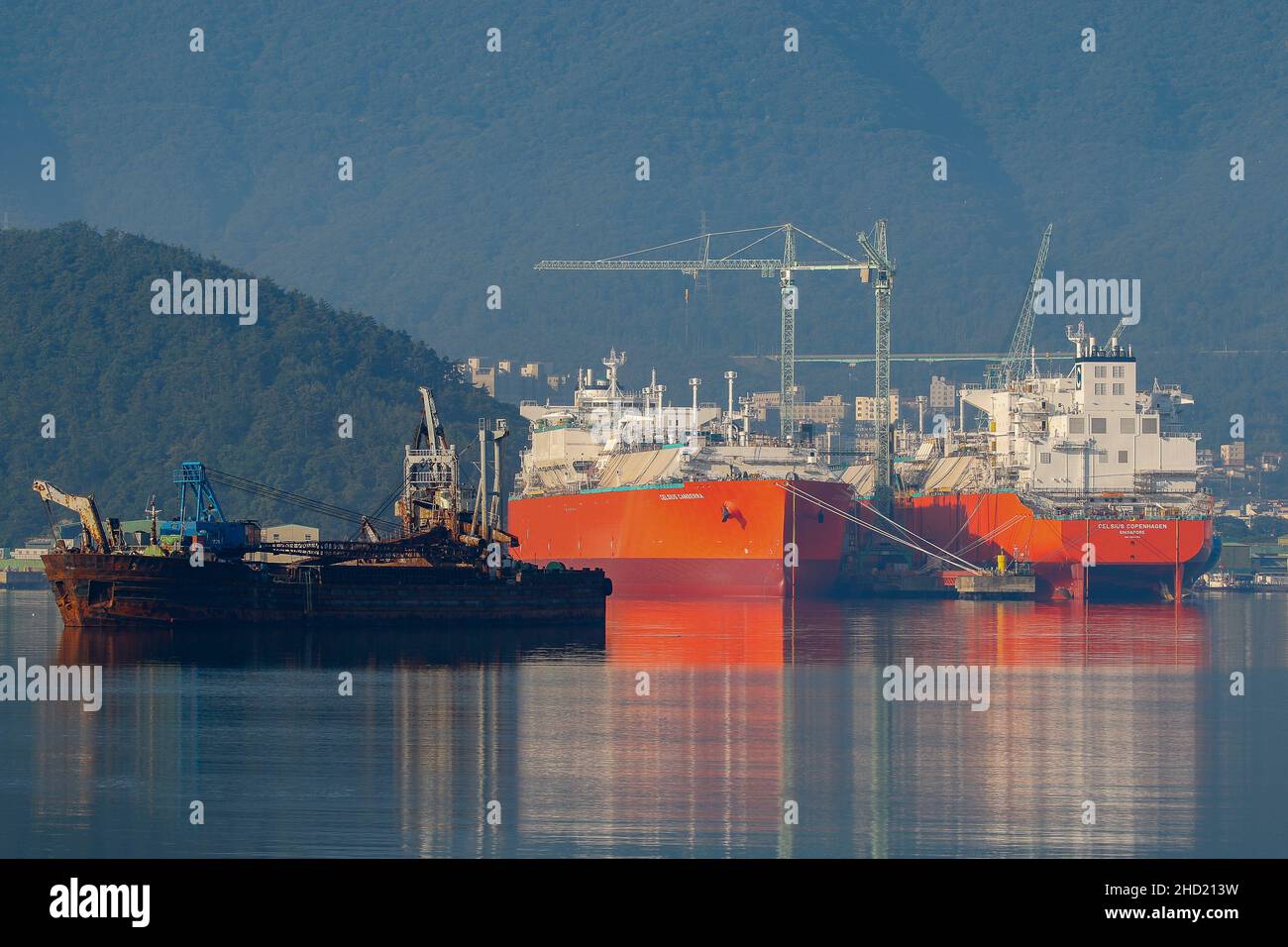 Dsme korea hi-res stock photography and images - Alamy