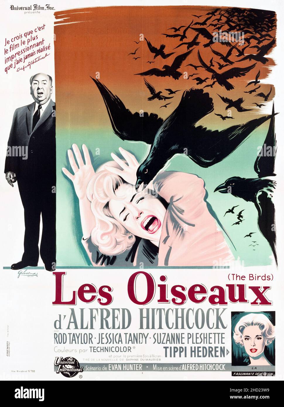 Alfred Hitchcock The Birds Poster