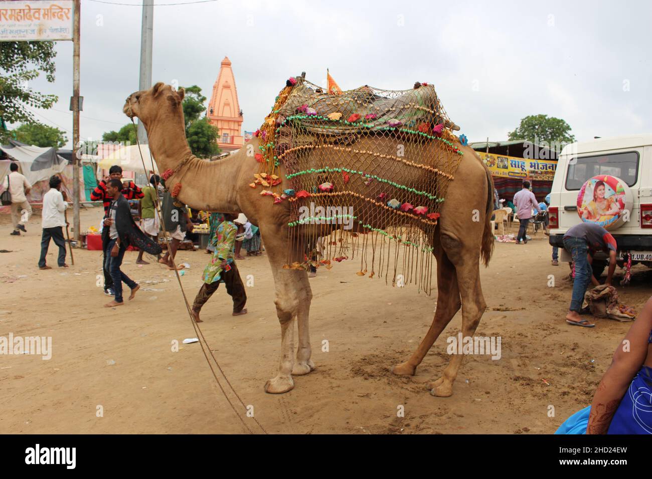 Memories form mu travel in India Stock Photo - Alamy