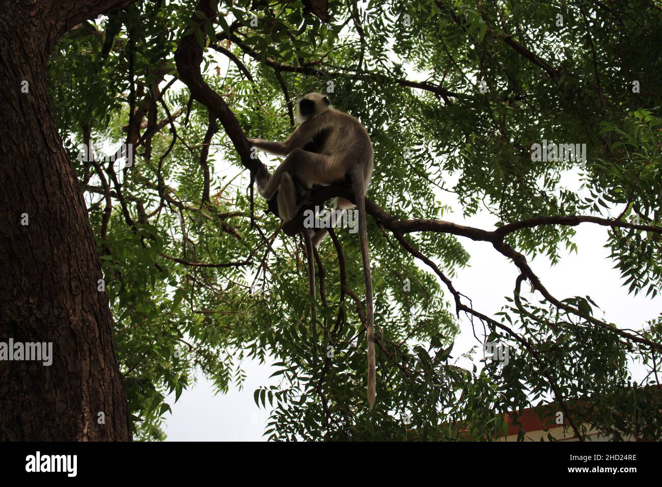 Memories form mu travel in India Stock Photo - Alamy