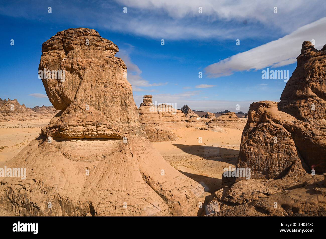 Hail, Saudi Arabia. 02nd Jan, 2022. Landscape during the Stage 1B of ...