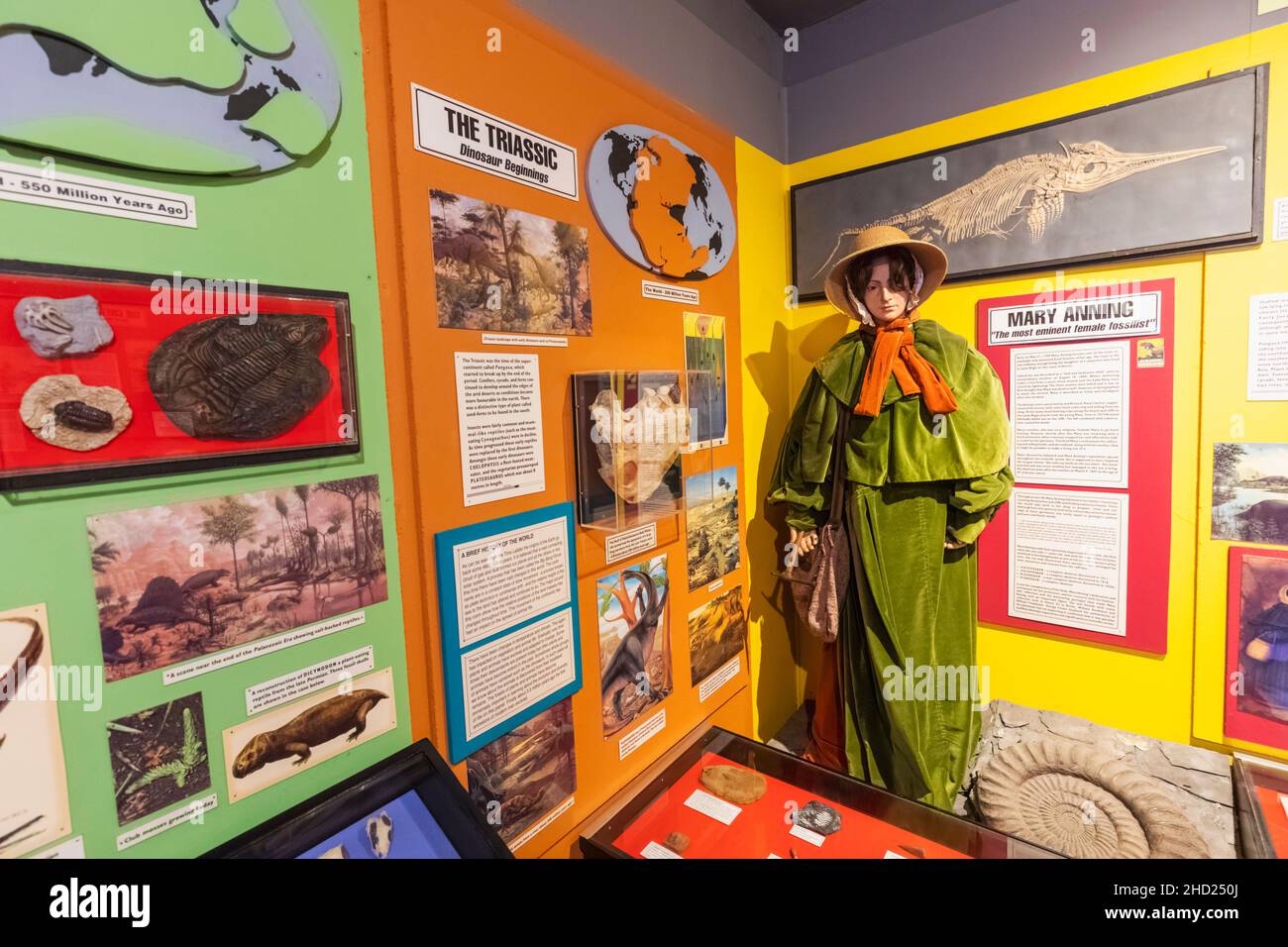 England, Dorset, Dorchester, The Dinosaur Museum, Statue of Mary Anning ...
