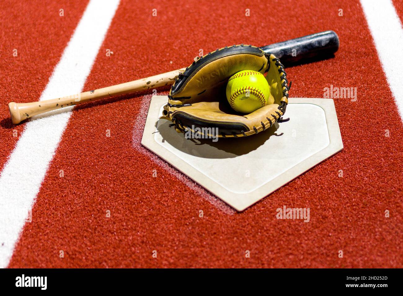 Bat texture hi-res stock photography and images - Alamy