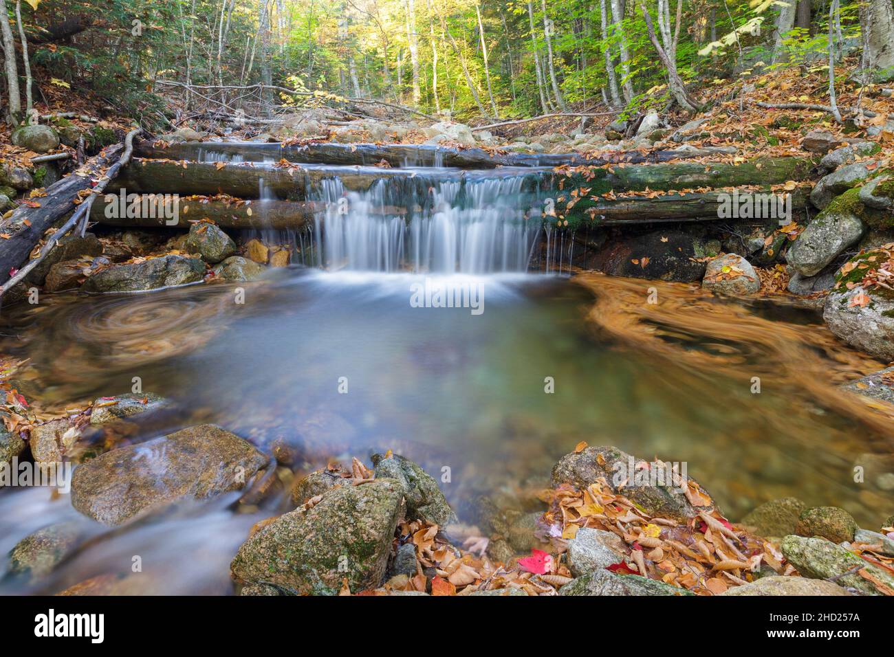 Remnants of an old wooden dam on Tecumseh Brook in Waterville Valley ...