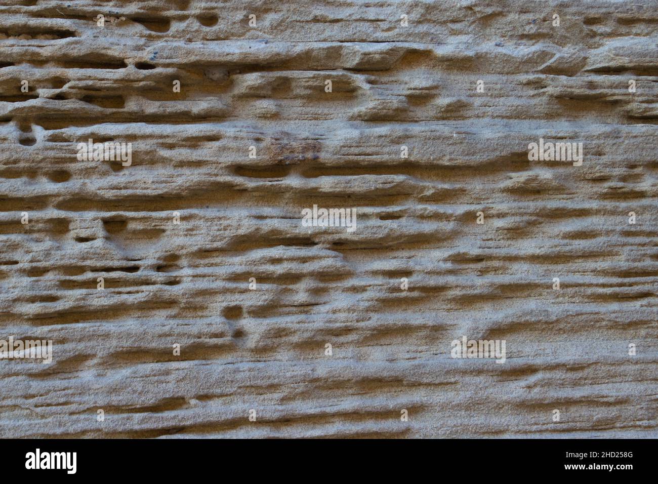 Detail of washed out natural brown sandstone texture, full frame for ...