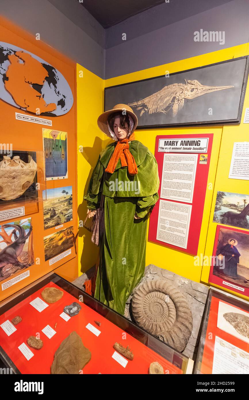 England, Dorset, Dorchester, The Dinosaur Museum, Statue of Mary Anning ...
