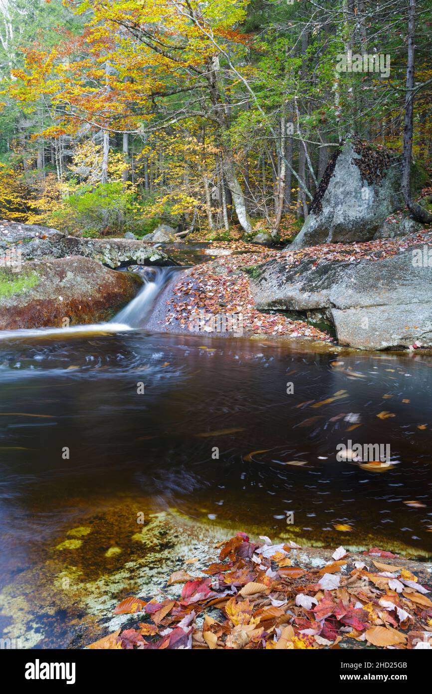 Harvard Brook in the White Mountains, New Hampshire USA during the ...
