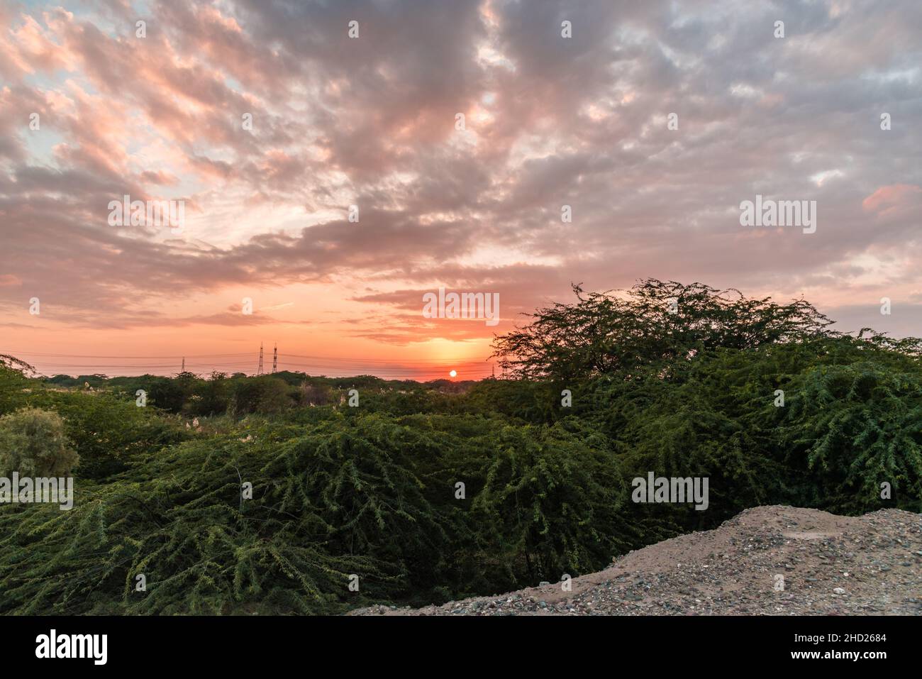 Nature view during sunset at Green Valley of Jeddah, Saudi Arabia Stock ...