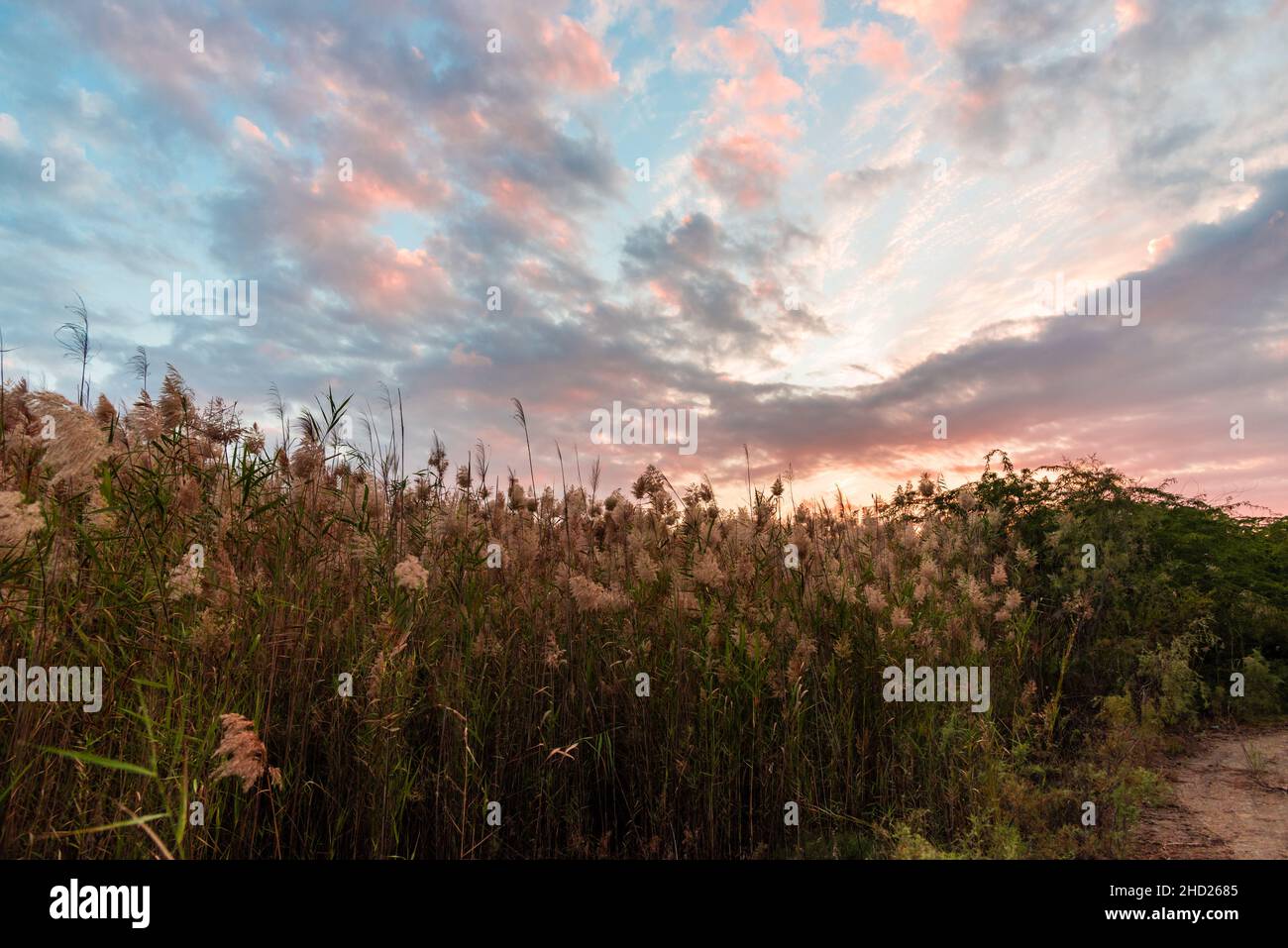 Saudi desert sunset hi-res stock photography and images - Alamy
