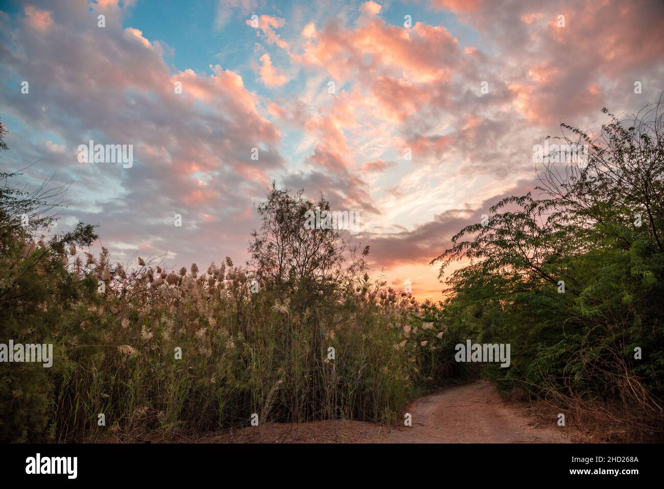 Nature view during sunset at Green Valley of Jeddah, Saudi Arabia Stock ...