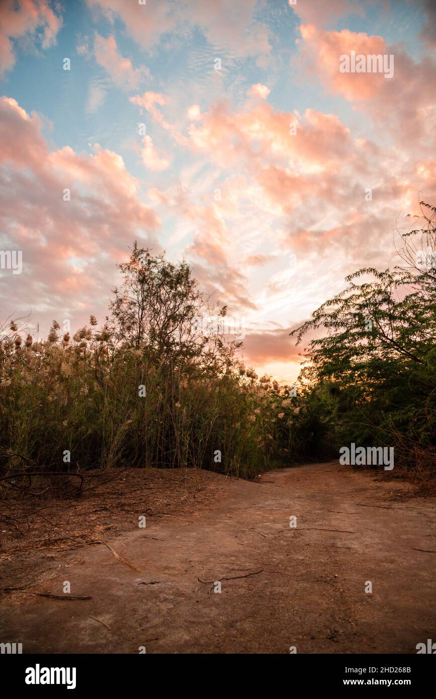 Nature view during sunset at Green Valley of Jeddah, Saudi Arabia Stock ...