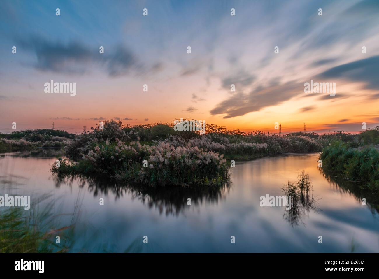 Nature view during sunset at Green Valley of Jeddah, Saudi Arabia Stock ...