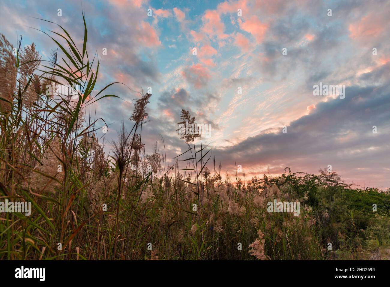 Nature view during sunset at Green Valley of Jeddah, Saudi Arabia Stock ...