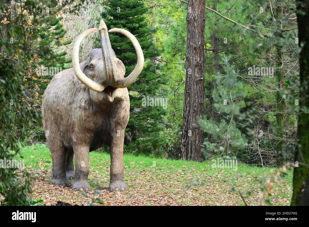 Outdoor Life-size reconstruction of extinct mammoth Stock Photo - Alamy