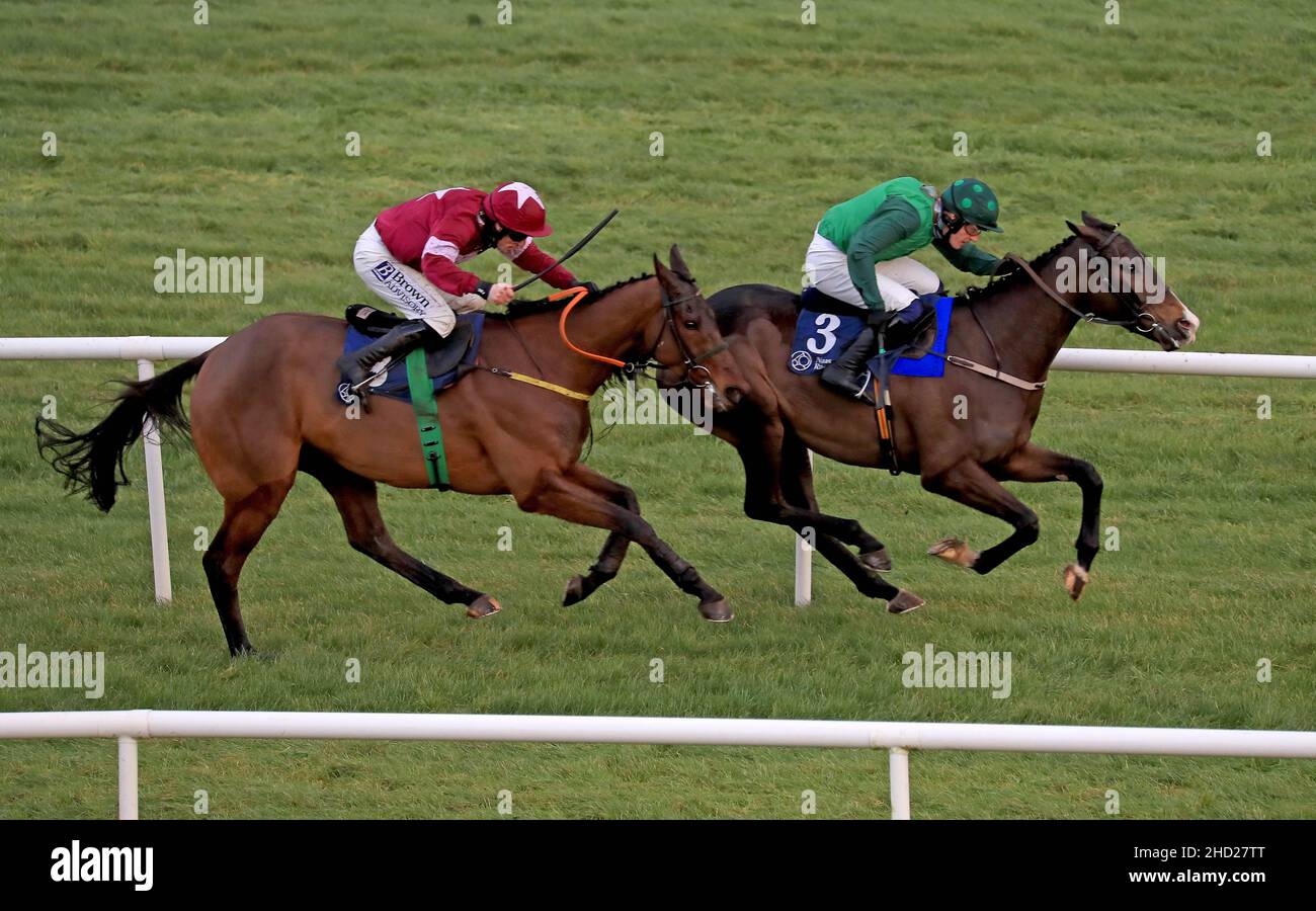 Bronn horse hi-res stock photography and images - Alamy