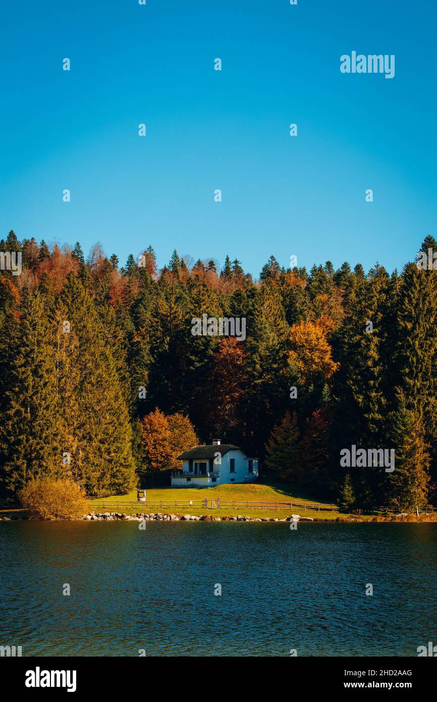 Vertical shot beautiful cozy hi-res stock photography and images - Alamy