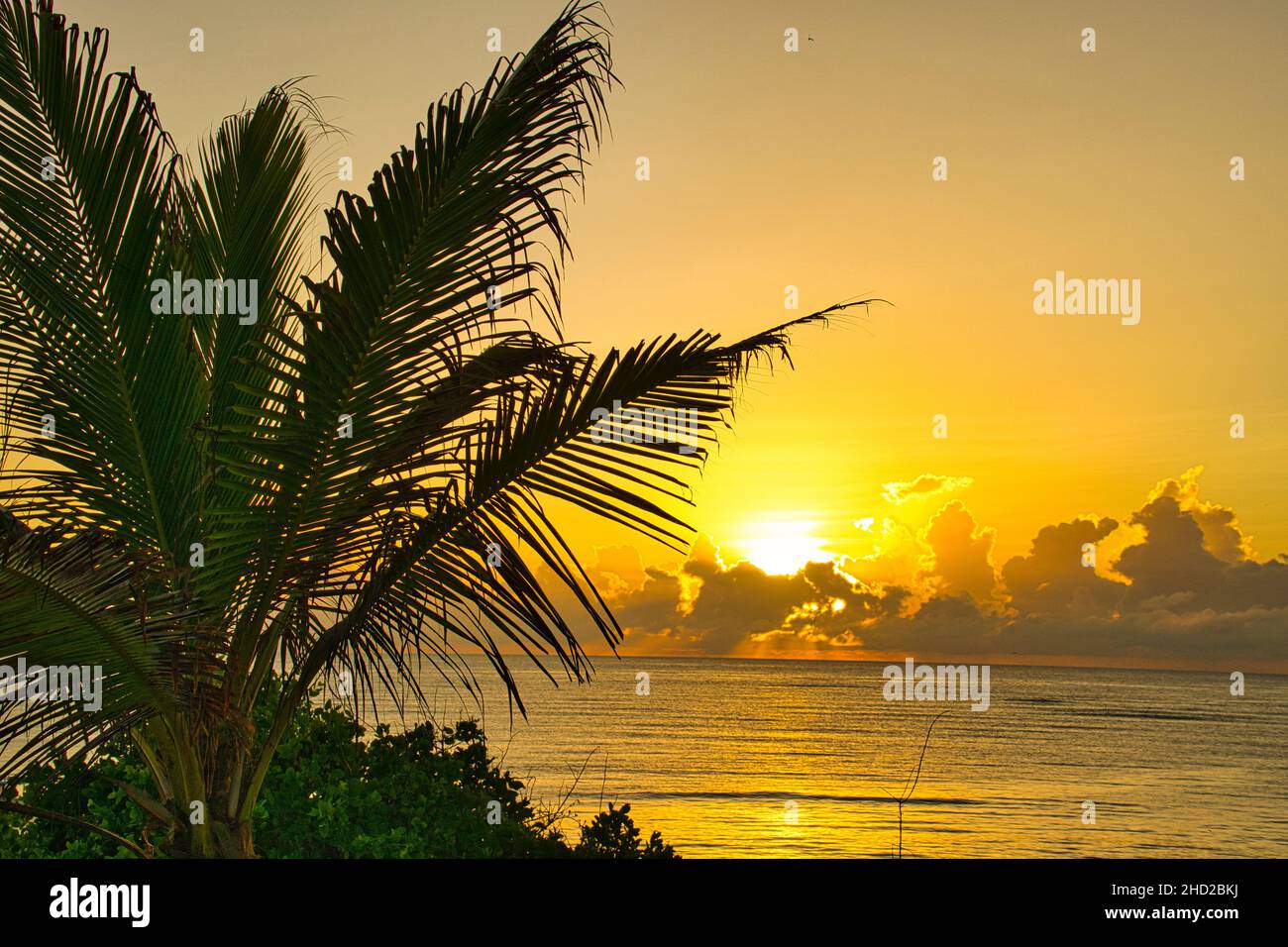 Sonnenuntergang und Sonnenuntergand am Strand von Kenia Stock Photo - Alamy