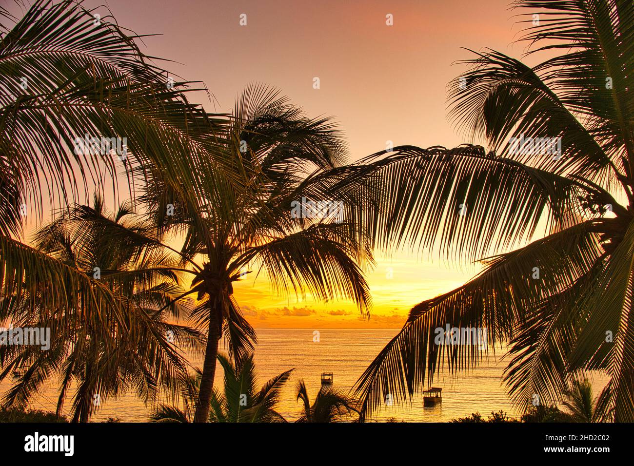 Sonnenuntergang und palmen strand hi-res stock photography and images - Alamy