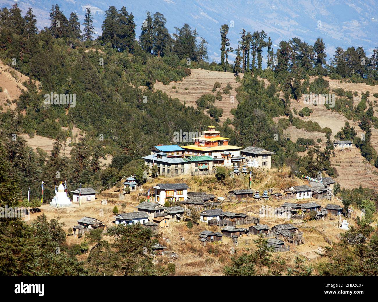 Gomba hi-res stock photography and images - Alamy