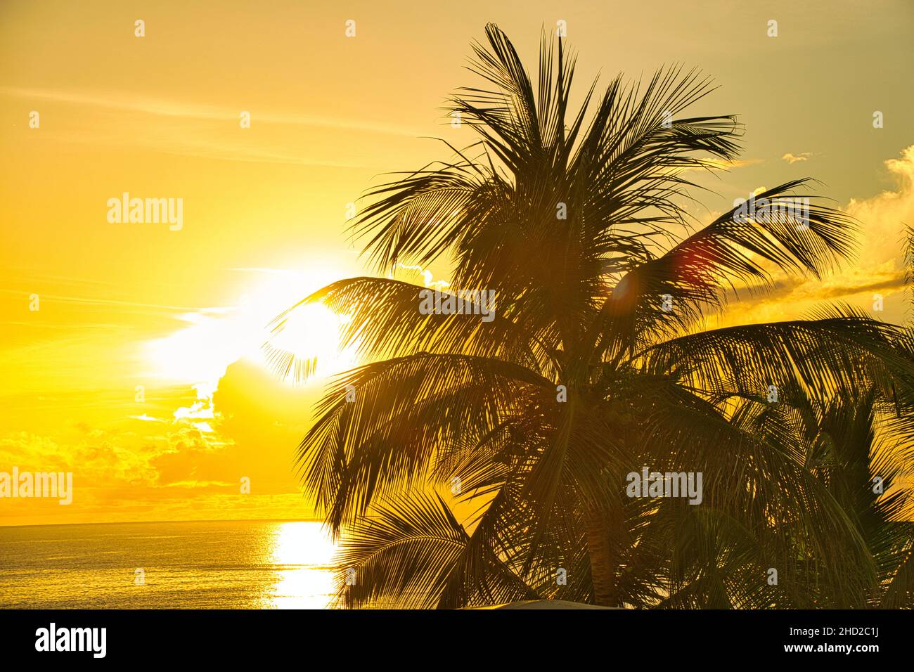 Palmen und sandstrand hi-res stock photography and images - Alamy