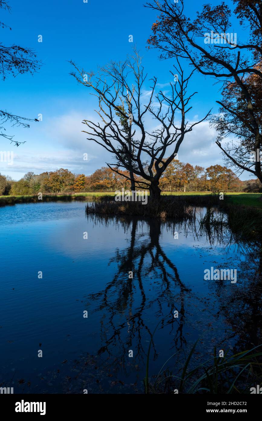Winter Countryside just outside of Bethersden near Ashford in Kent ...