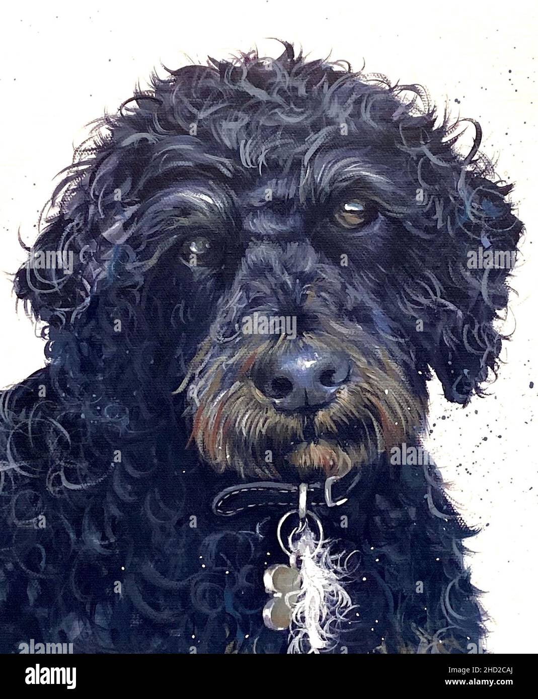 Cockerpoo painting hi-res stock photography and images - Alamy