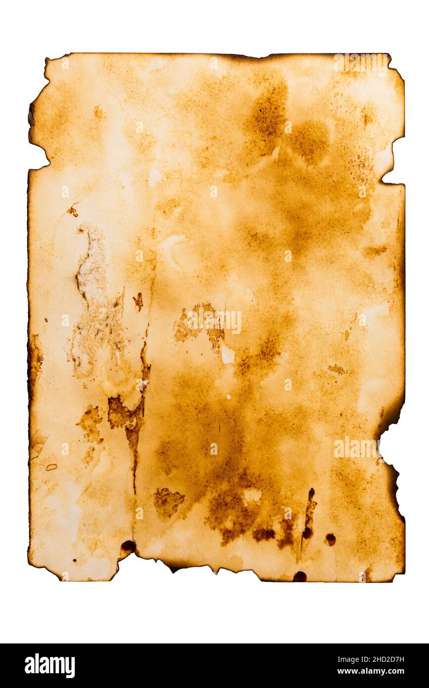Burnt and torn piece of paper isolated on the white background Stock ...