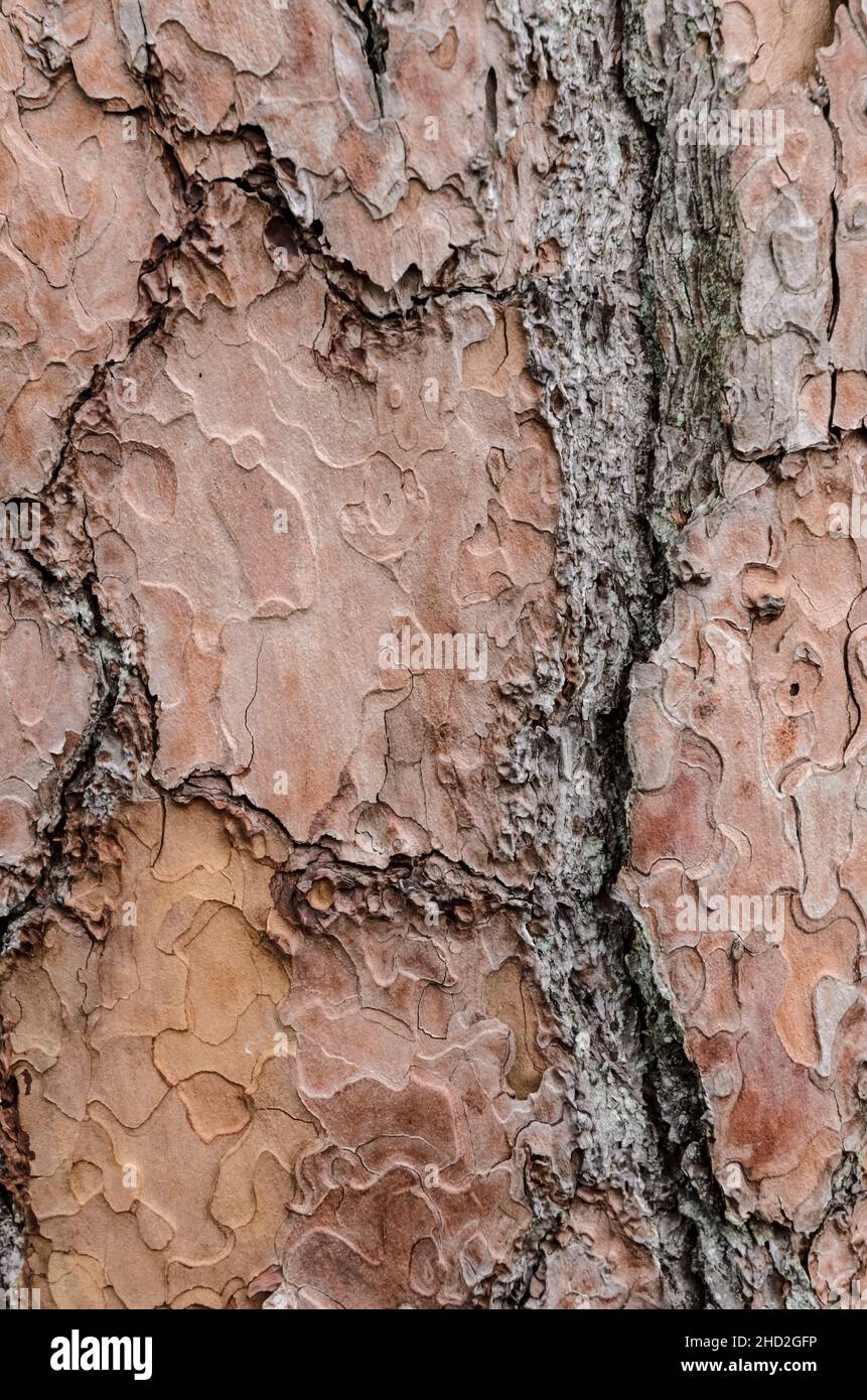 Layers of texture hi-res stock photography and images - Alamy