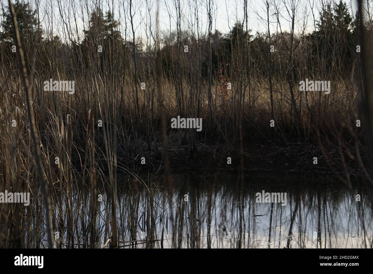 Brush angles hi-res stock photography and images - Alamy