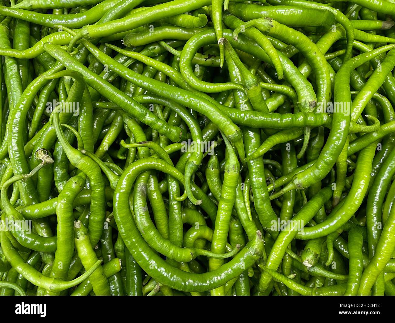 Chilli farming hi-res stock photography and images - Alamy