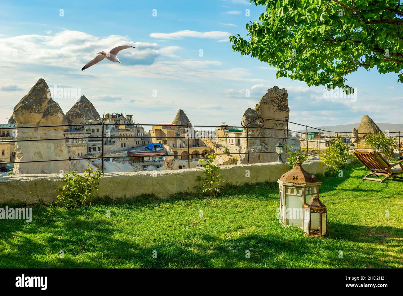 Seagull over old sandstone caves in Cappadocia, Turkey Stock Photo - Alamy