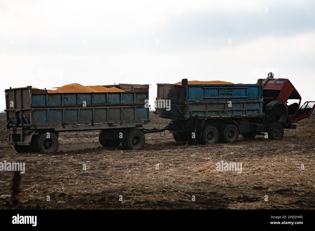 Combine harvester loading grain truck hi-res stock photography and ...
