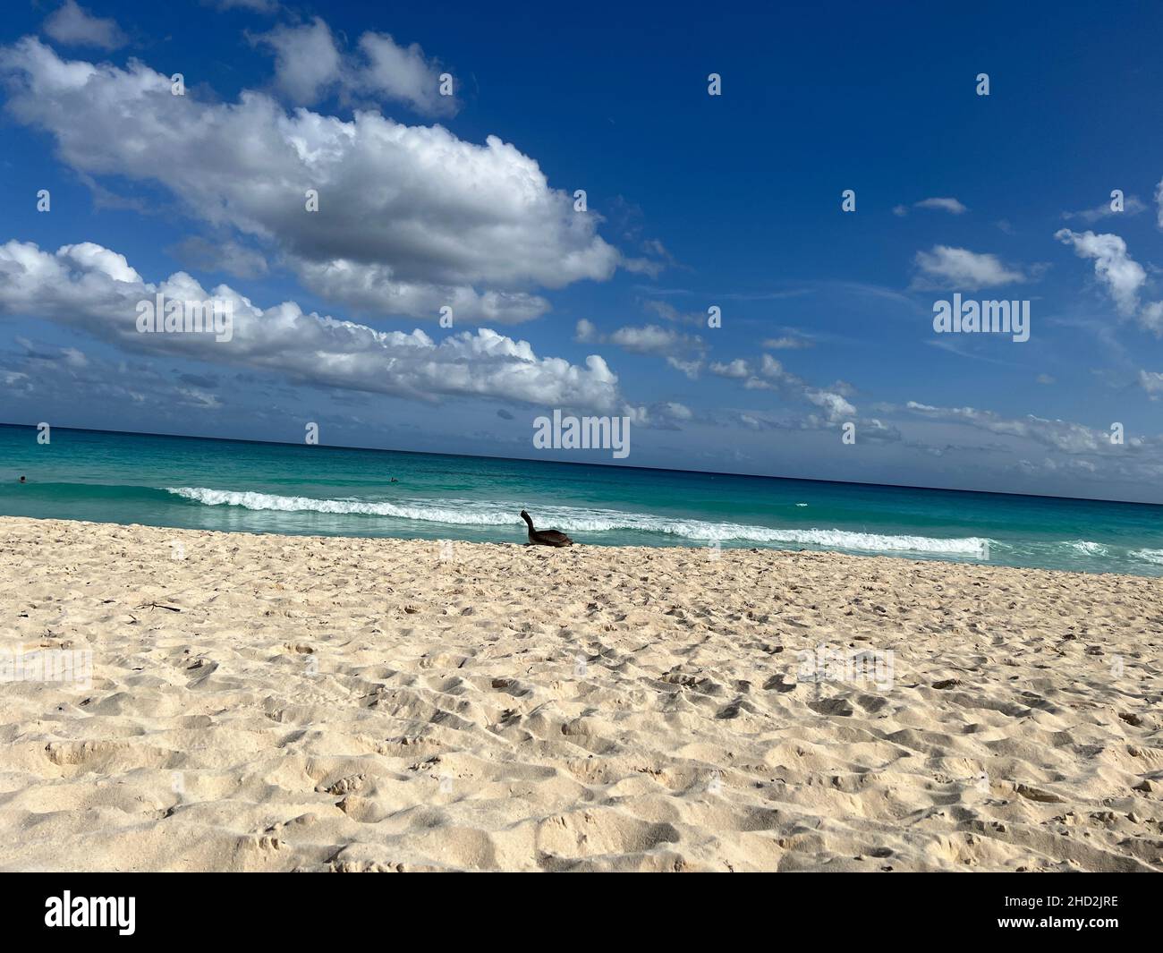 White sand Cancun beach in Riviera Maya, Mexico. Beautiful tropical ...