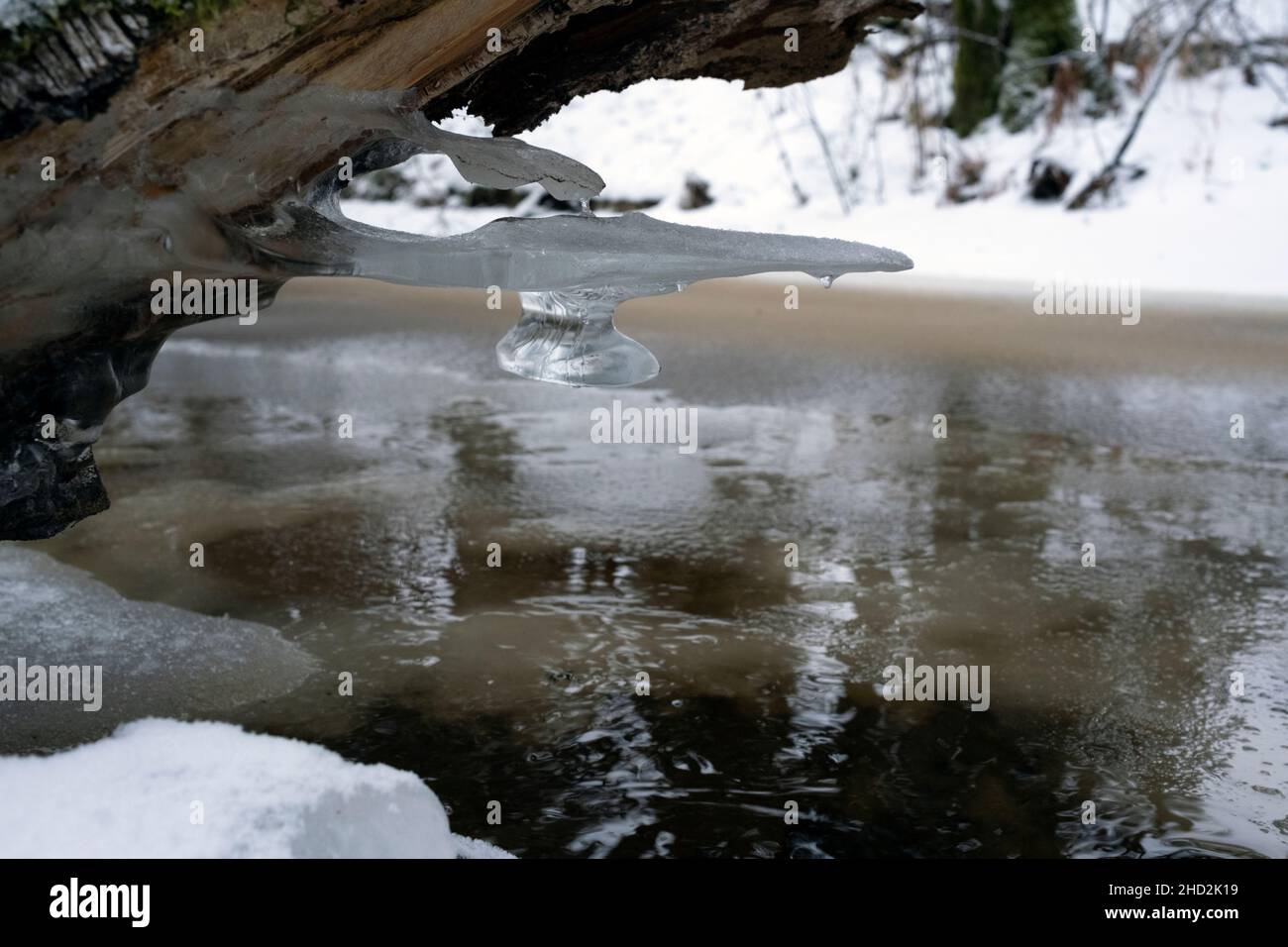 Spike of ice formed on ice covered river in closeup Stock Photo - Alamy