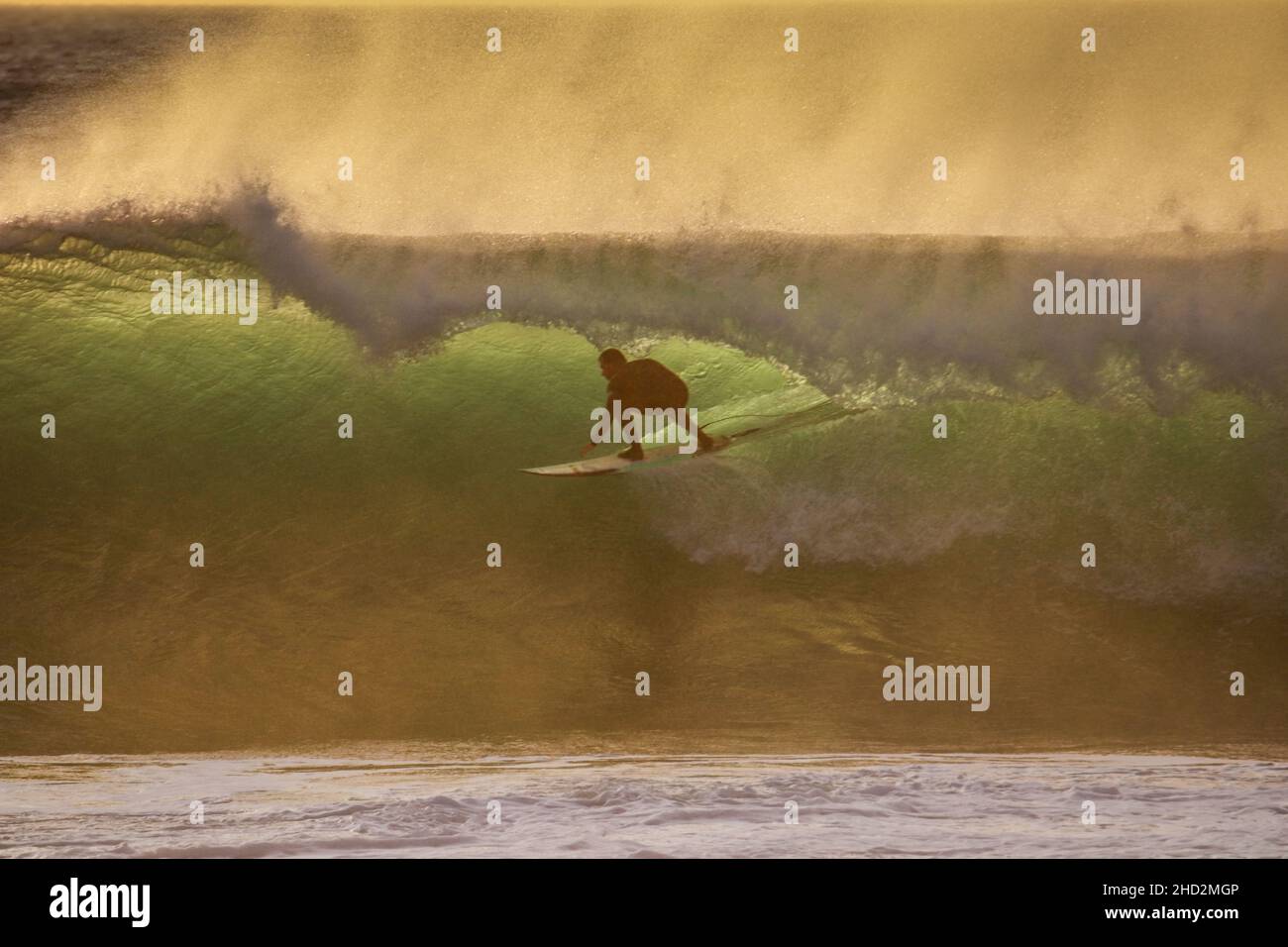 Surfer in a perfect barrel wave Stock Photo - Alamy