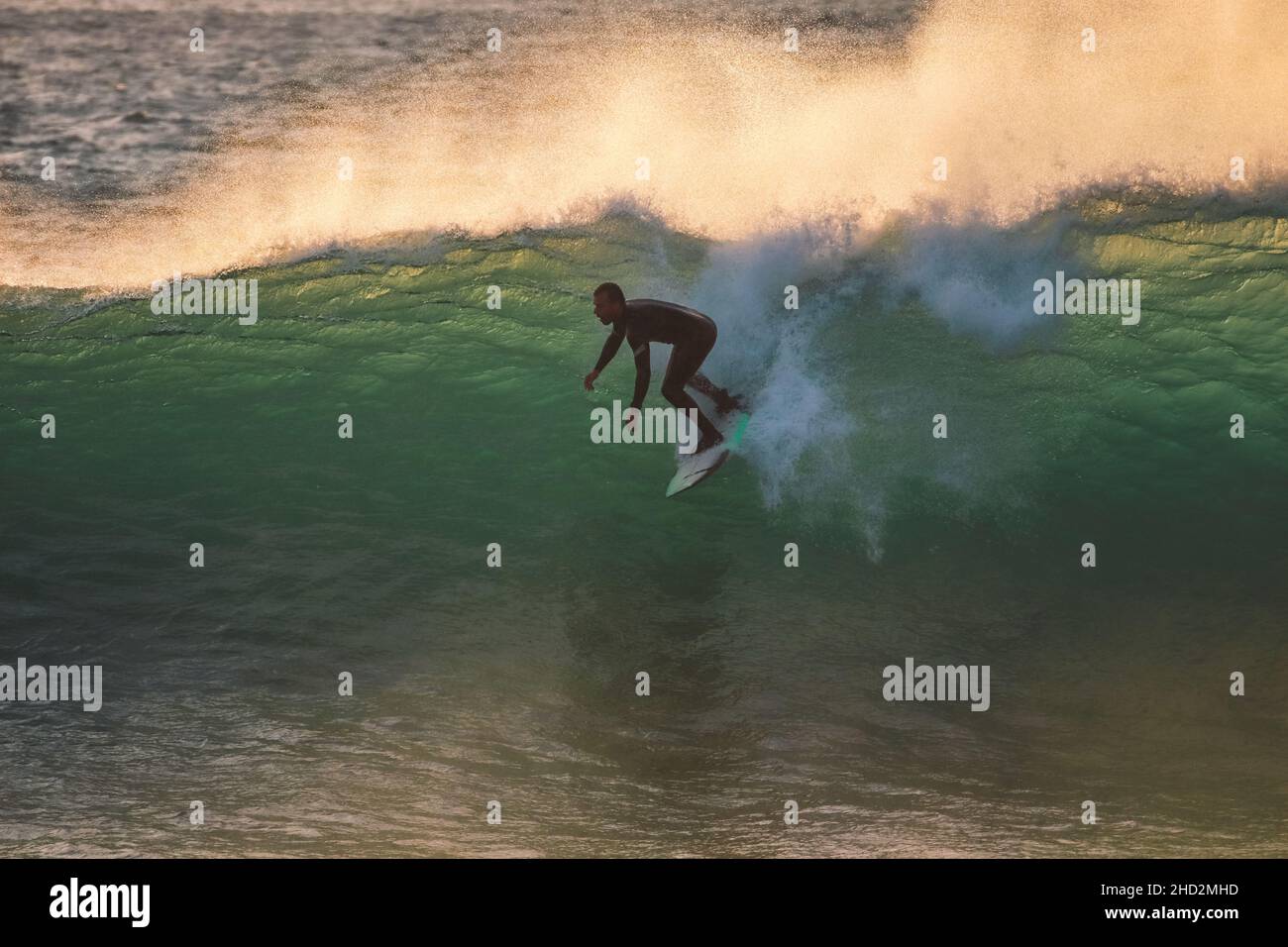 Surfer in a perfect barrel wave Stock Photo - Alamy