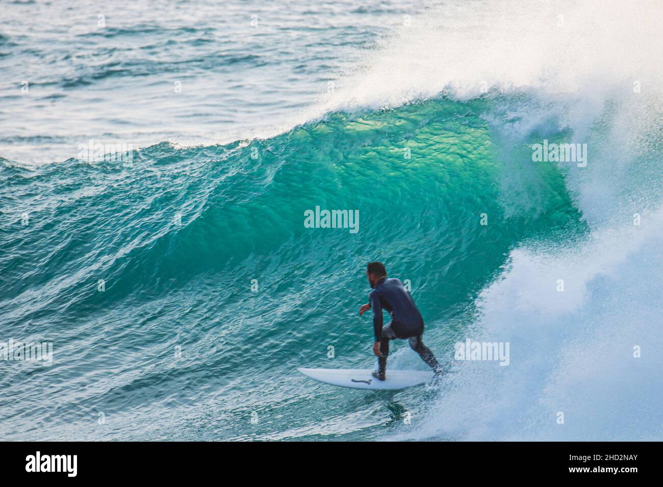 Surfer in a perfect barrel wave Stock Photo - Alamy