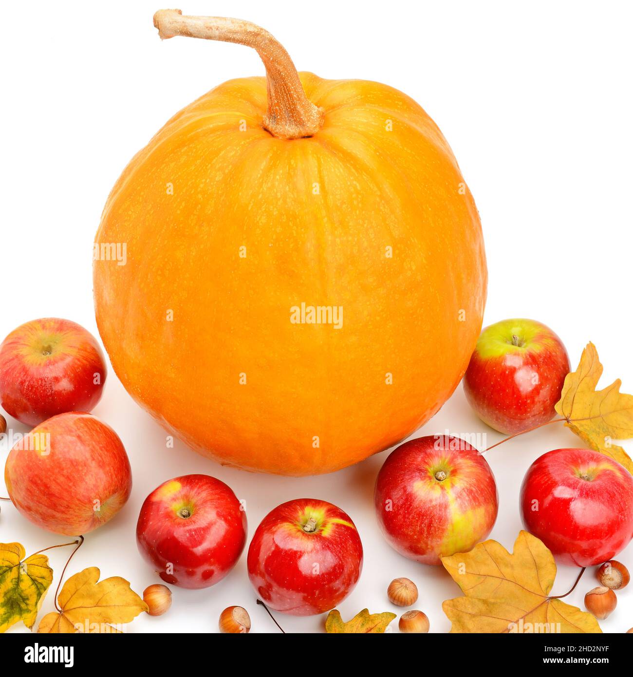 Pumpkin and red apples isolated isolated on white background Stock ...
